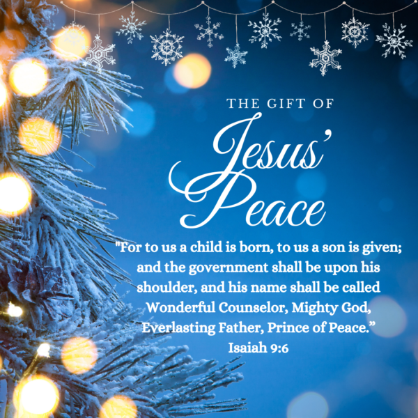 The Gift of Peace - Mysty Pfeffer